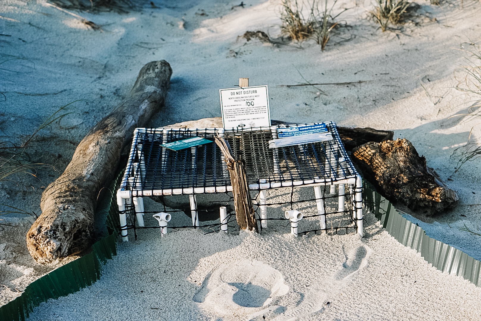 Bald Head Island Travel Guide - Style Her Strong